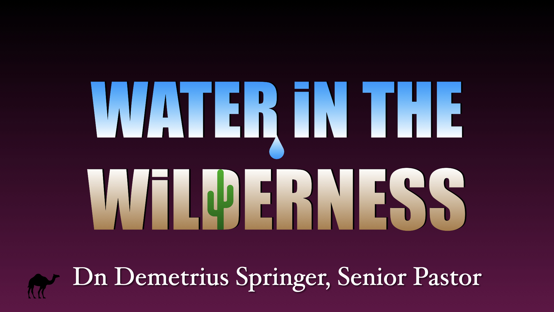 “Water in the wilderness” Dn Demetrius Springer – Third Presbyterian Church